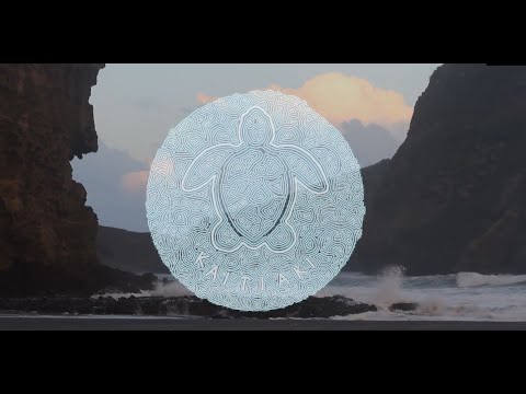 Introducing Kaitiaki