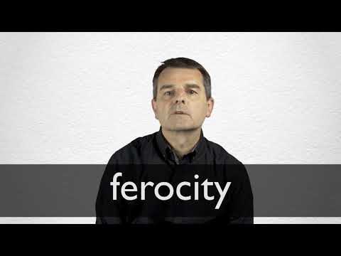 How to pronounce FEROCITY in British English