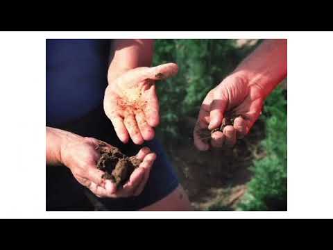 soil permeability #civilengineering