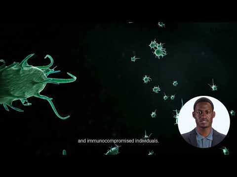 What Is Listeriosis?