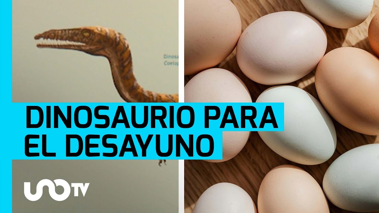 “Dinosaurios entre nosotros”, conoce la exposición de Universum
