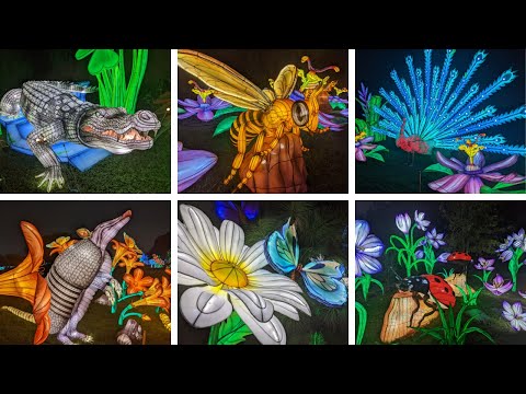 Inside the holiday light show at Houston Botanic Garden