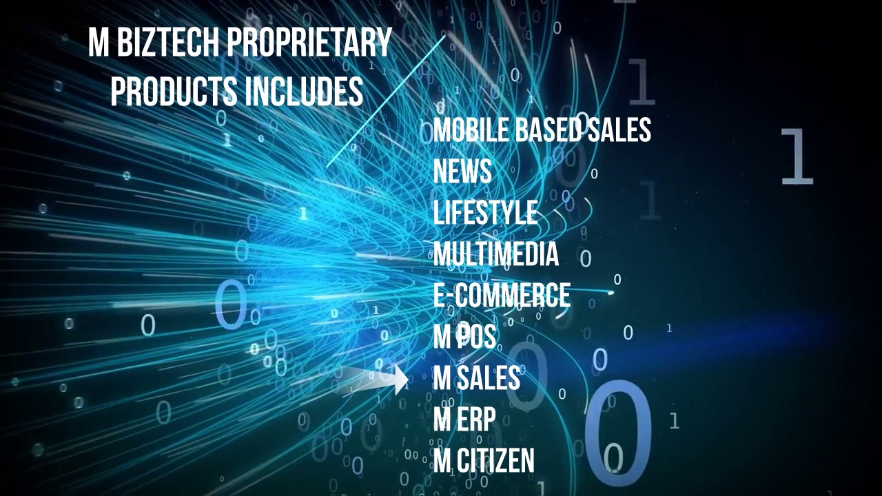 About Us | M BIZTECH Consulting Pvt. Ltd.