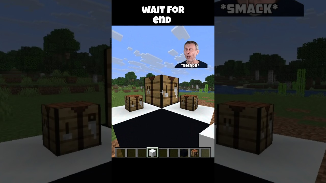 Minecraft Illusions That Will Break Your Brain 🤯 #mincraft #shortsfeed #viral