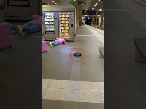 This Cleaning Robot Saved Her Belongings! 👏❤️
