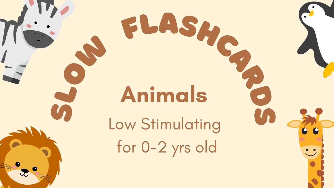 Slow Animal Flashcards for Babies and Toddlers | Low Stimulating | 0-2 yrs