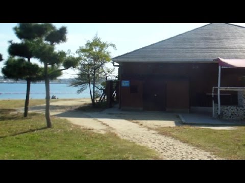 Tsunami Info in Japan