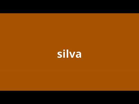 what is the meaning of silva