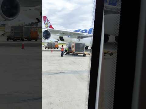 velana International Airport Maldives #adventure #edelweiss #airport #maldives