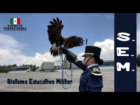 Sistema Educativo Militar 2023