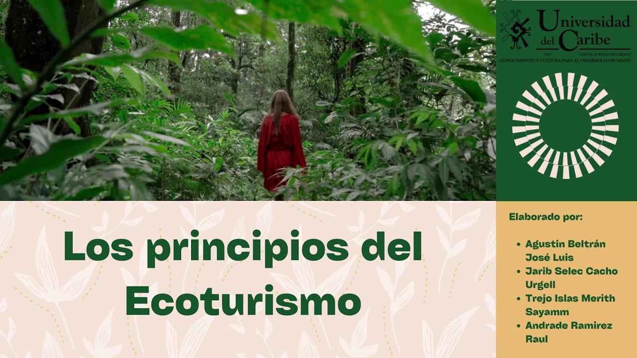 Ecoturismo: Definición, Origen, Historia, Principios Y Beneficios ...
