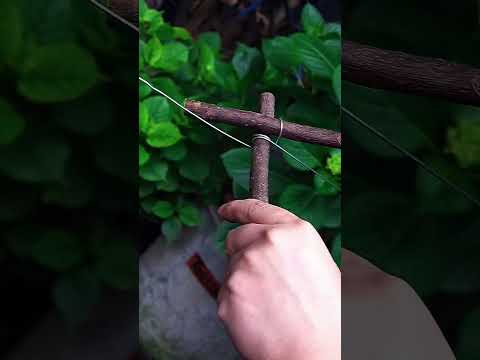 Tension or tightening fence wire like a Pro