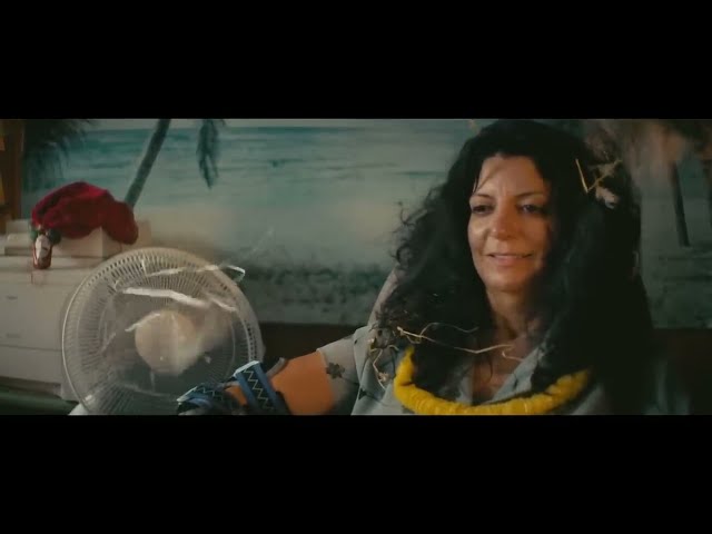 Bomba Estéreo – Internacionales - Videos YouTube Música