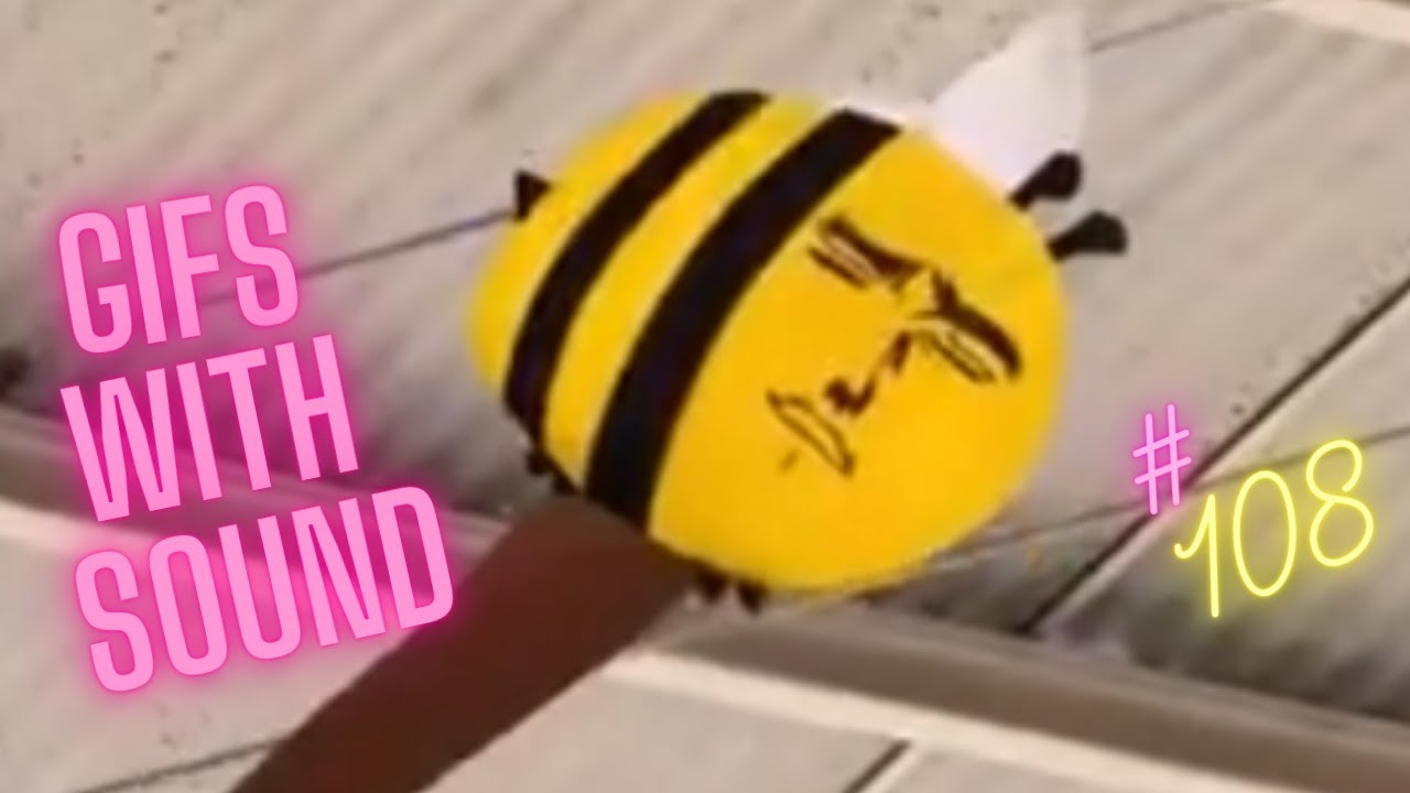 🔥Gifs with Sound 🔥 #108