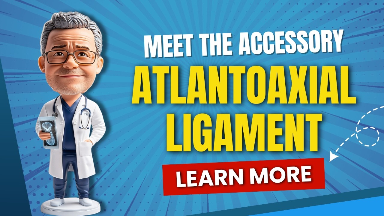 Meet the Accessory Atlantoaxial Ligament-A Secondary Alar?
