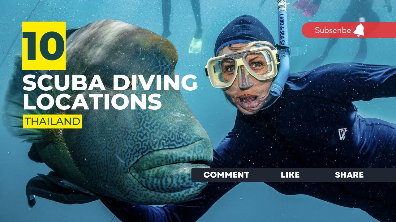 [2023] Thailand Dive Sites That Will Blow Your Mind: Top Scuba Diving Locations