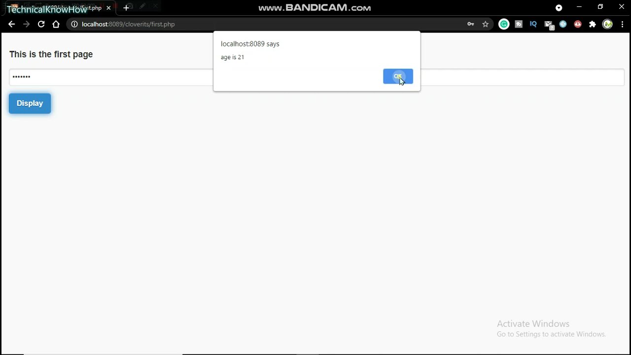 How to Insert Multiple Variables from PHP to a JavaScript Function(AJAX)