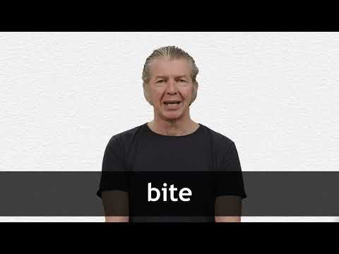 BITE definition and meaning | Collins English Dictionary