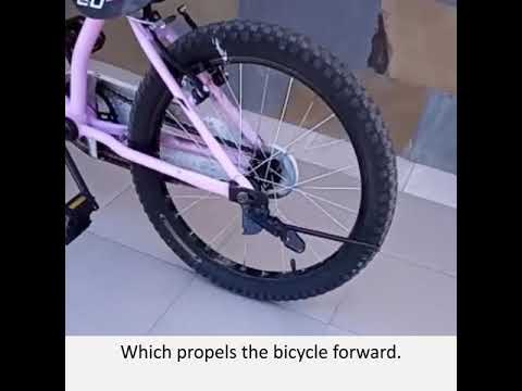 Role of Friction