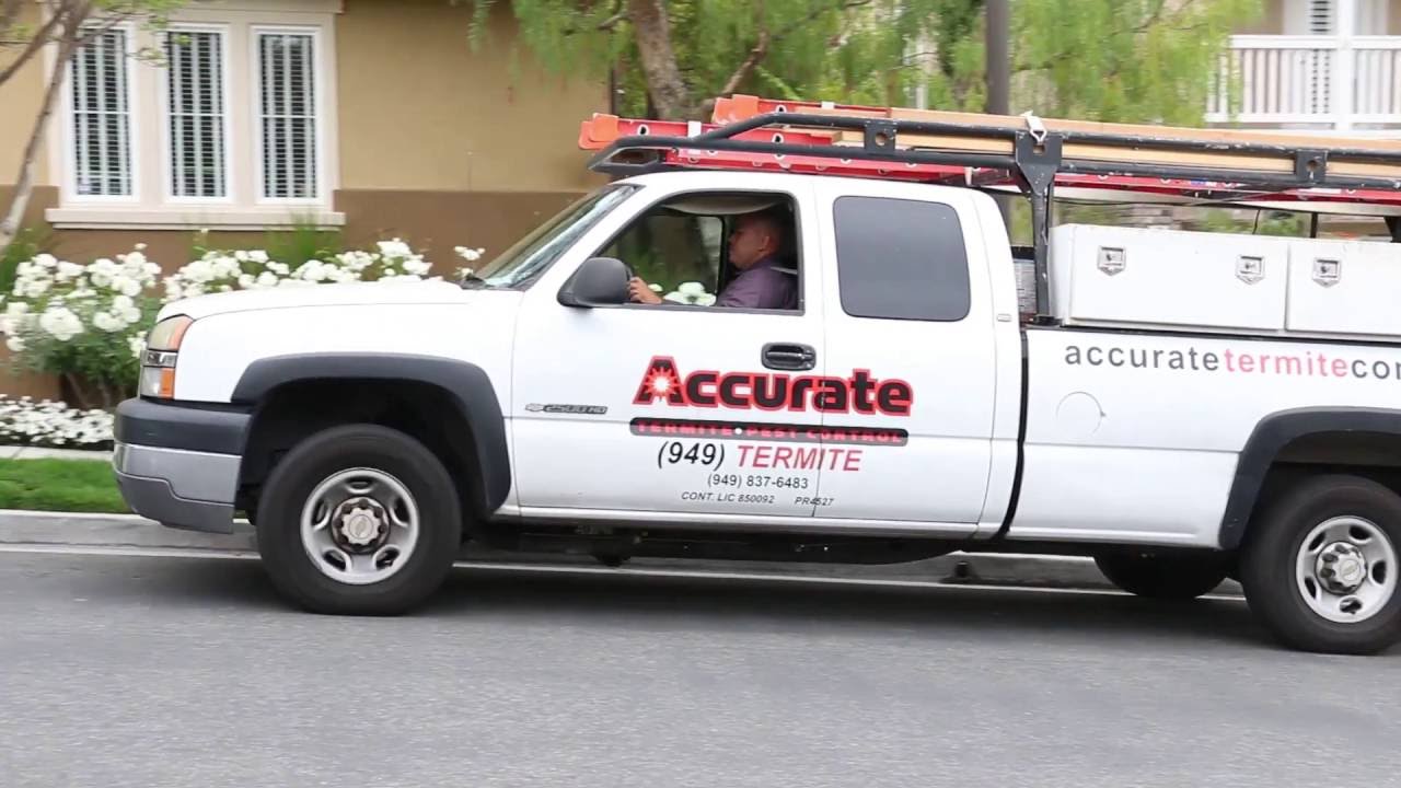 What to Expect: Local Termite Treatment