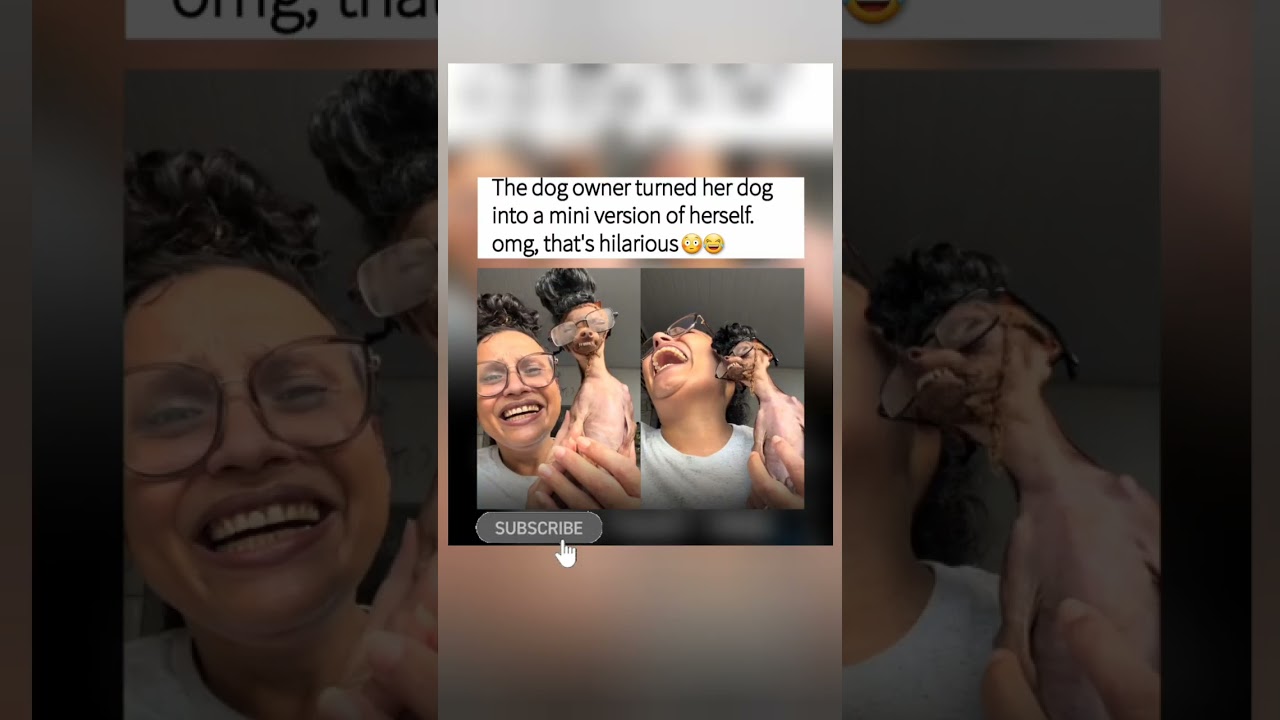 She cloned herself… but made it cuter 😂🐶 #fyp #funnydog #shorts