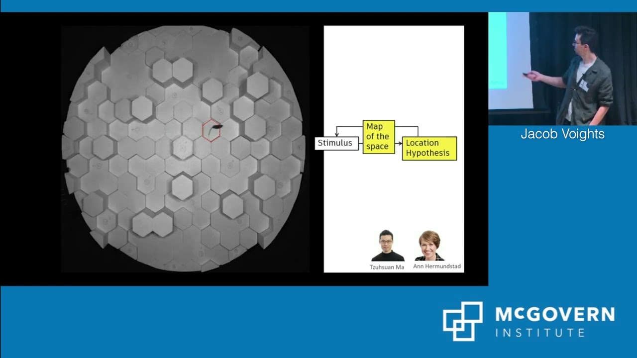 25 Years of Vision: Unlocking the Brain's Potential - Jakob Voights