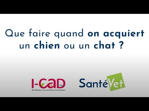 I-CAD / Que faire quand on acquiert un animal, chien ou chat ?