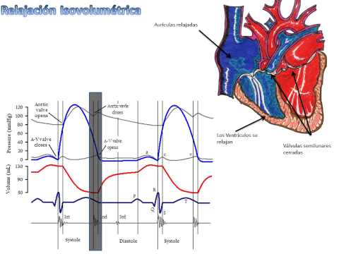Recursos – Cardiopatías con Biology S.L.