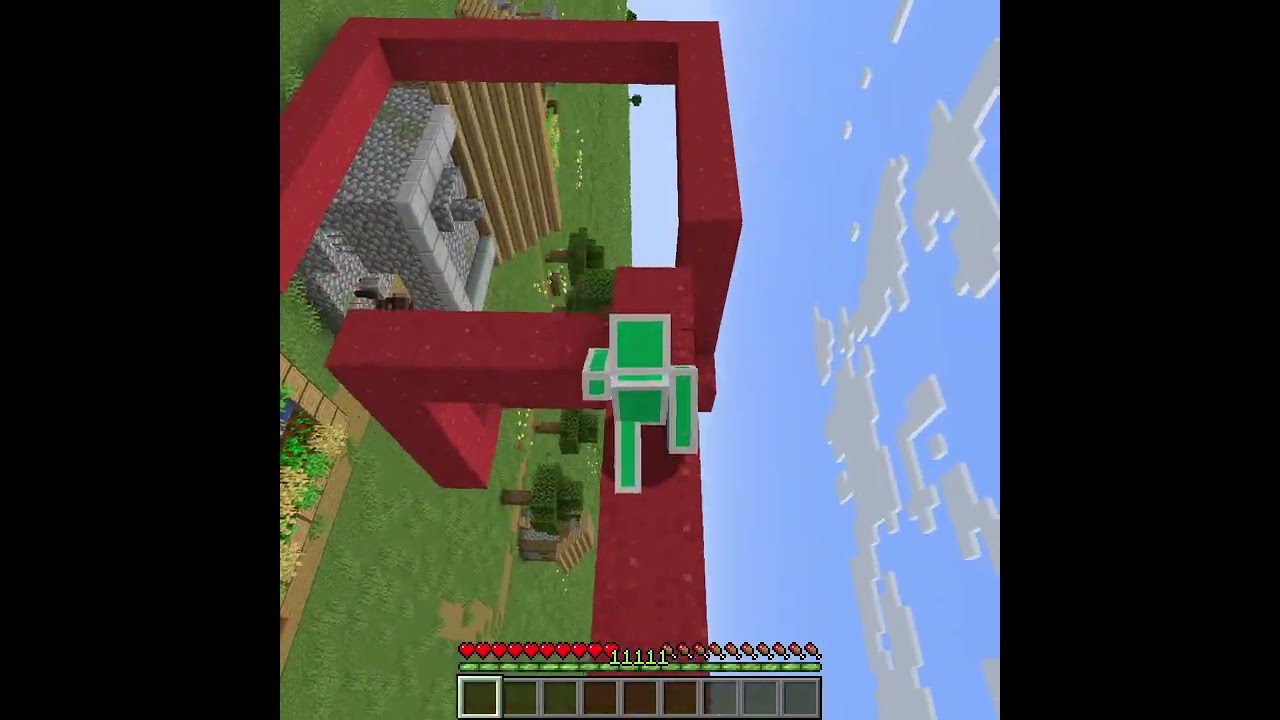 Cursed Gravity Change in Minecraft