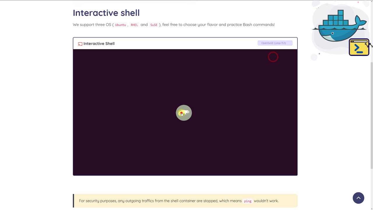 Interactive Shell Demo - Scientific Programming School