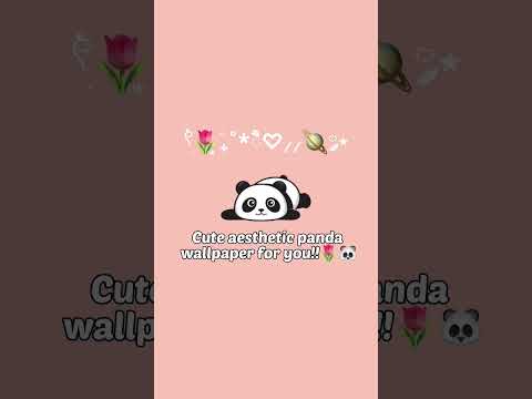 Cute aesthetic panda wallpaper ๐ท๐ผ...