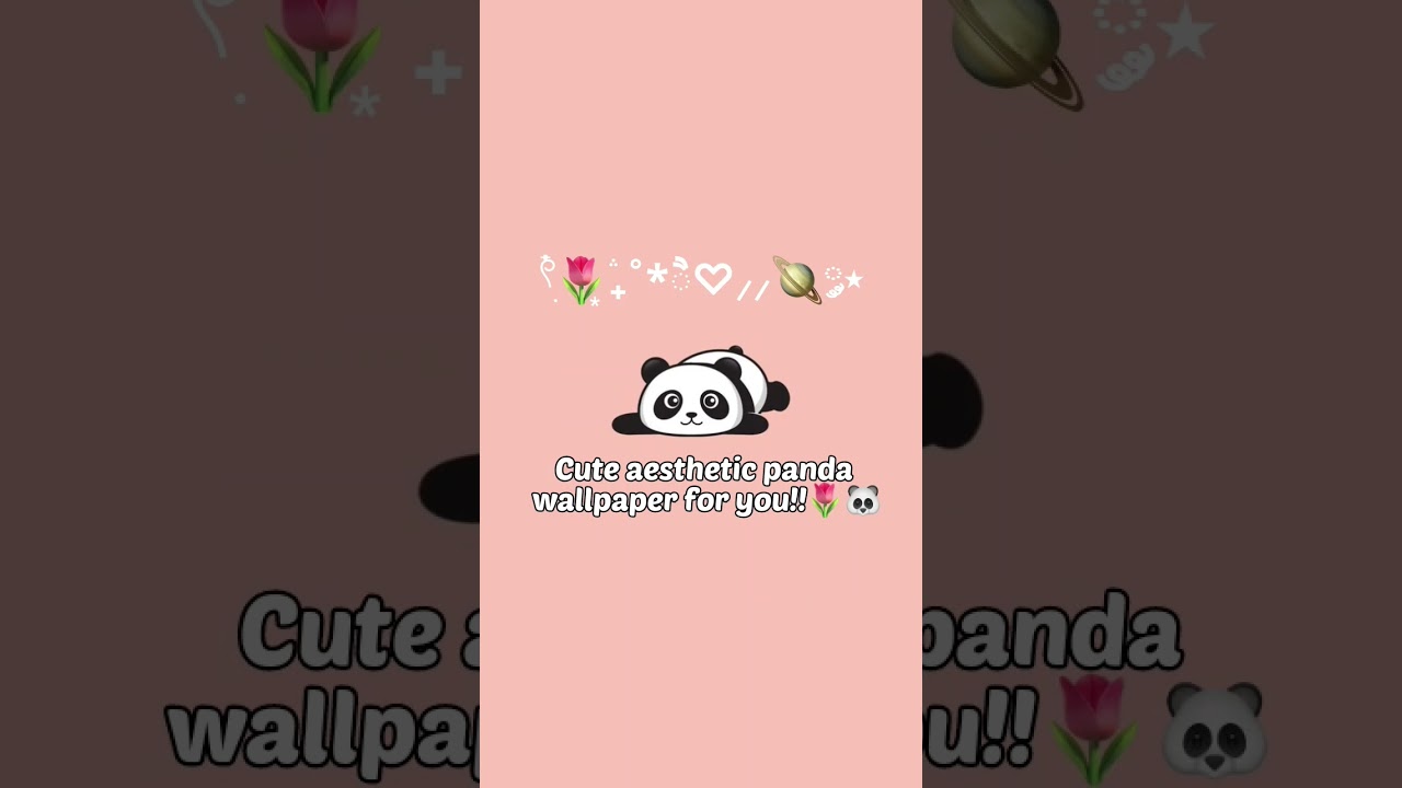 Cute aesthetic panda wallpaper 🌷🐼...