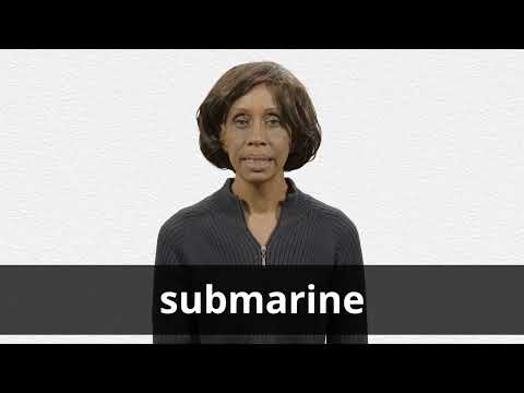SUBMARINE definition in American English | Collins English Dictionary