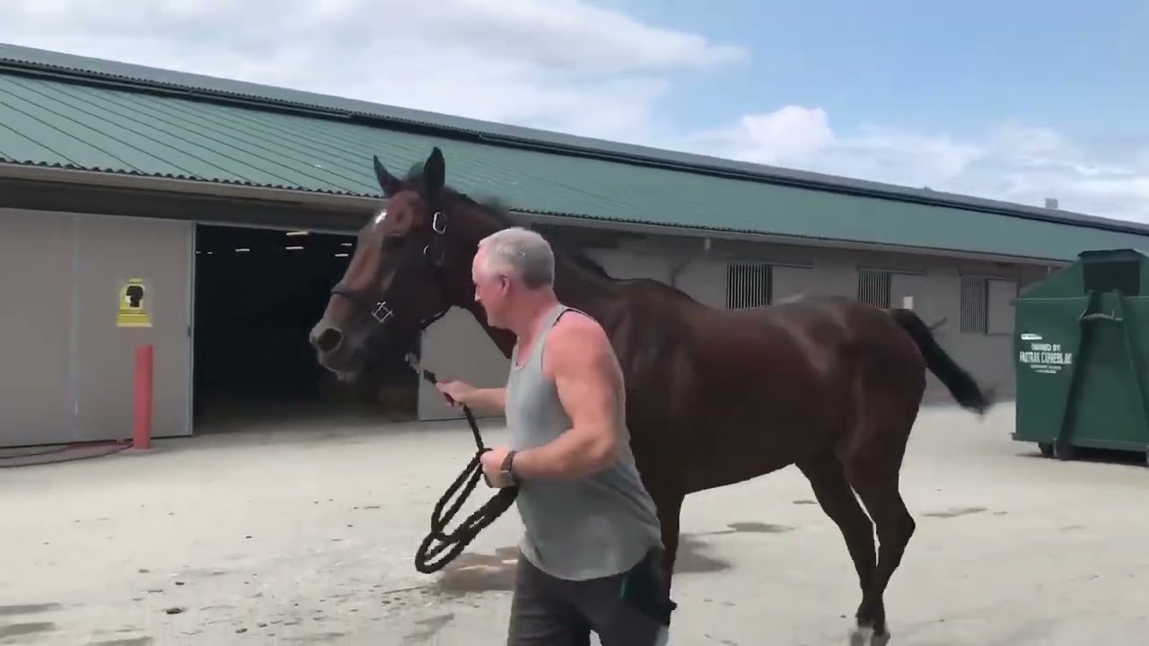 Thoroughbred Logic, Presented by Kentucky Performance Products: A ‘Good ...