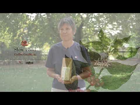 Erminia Nodari: a new way of marketing coffee based on alliances