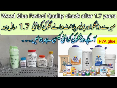 Fevicol Quality check after 1.7 years / Local wood glue Business Consultant Business ideas 2023