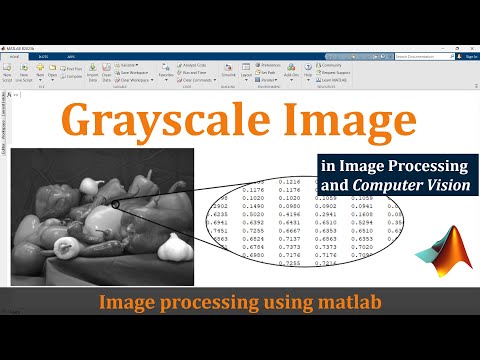 Grayscale image in digital image processing | Grayscale image in matlab