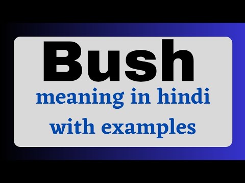 Bush Meaning In Hindi || Bush Ka Matlab Kya Hota Hai