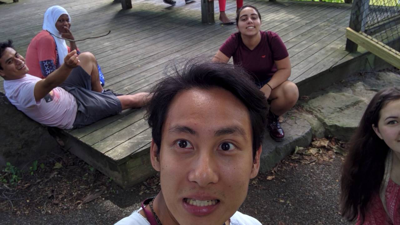 Exploring Transfer 2016