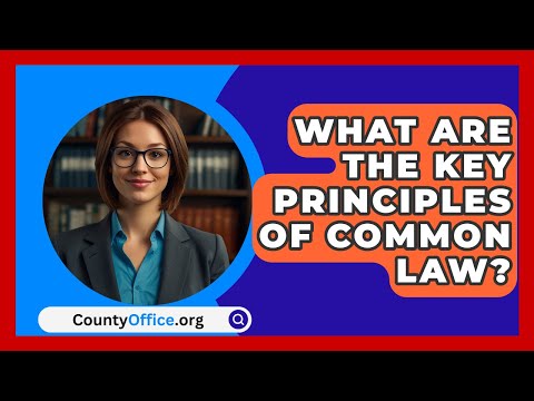 What Are the Key Principles of Common Law? | CountyOffice News