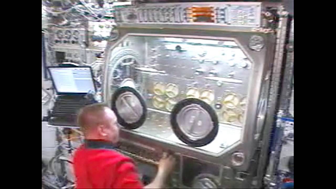 Microgravity Science Glovebox