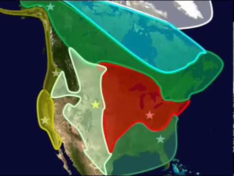 6.5.2 What is a Semi-Arid Steppe?