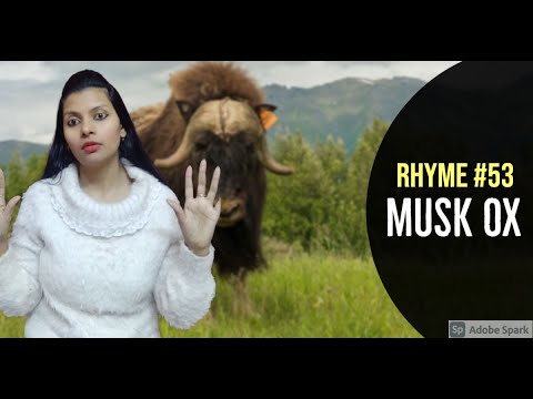 Rhyme #53 | Musk Ox | Rhyme for Kids