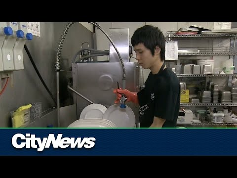 Business Report: Latest jobs report released by Statistics Canada