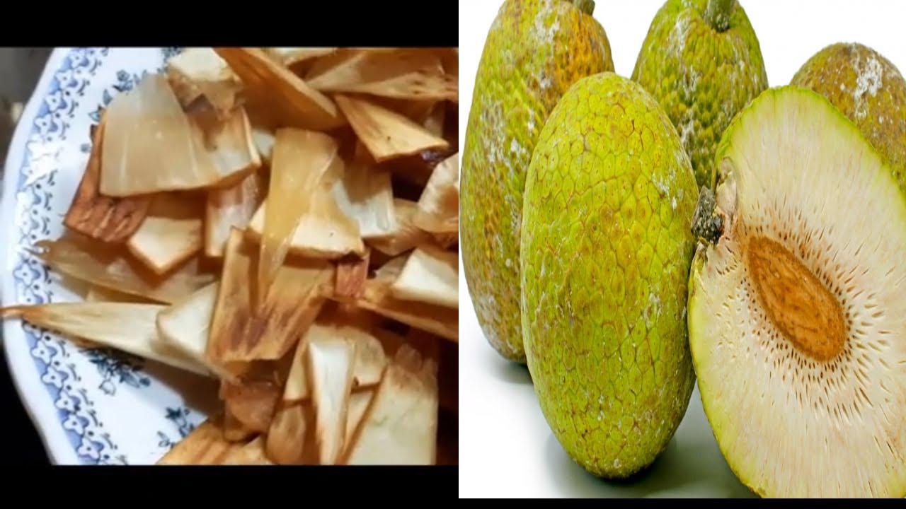 കടച്ചക്ക ചിപ്സ് || Breadfruit chips|| Kadachakka chips,