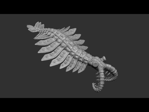 Anomalocaris