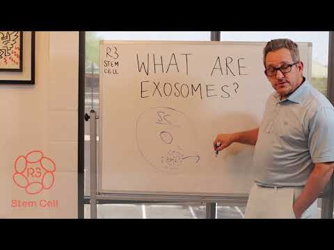 What are Stem Cell Exosomes and How Do They Work? (844) GET-STEM