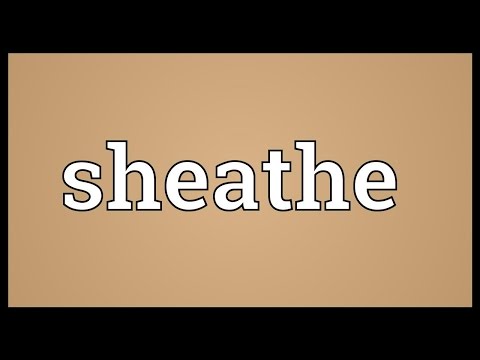 Sheathe Meaning