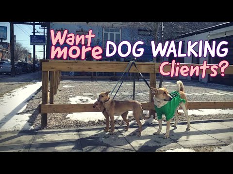 How to Get DOG WALKING CLIENTS