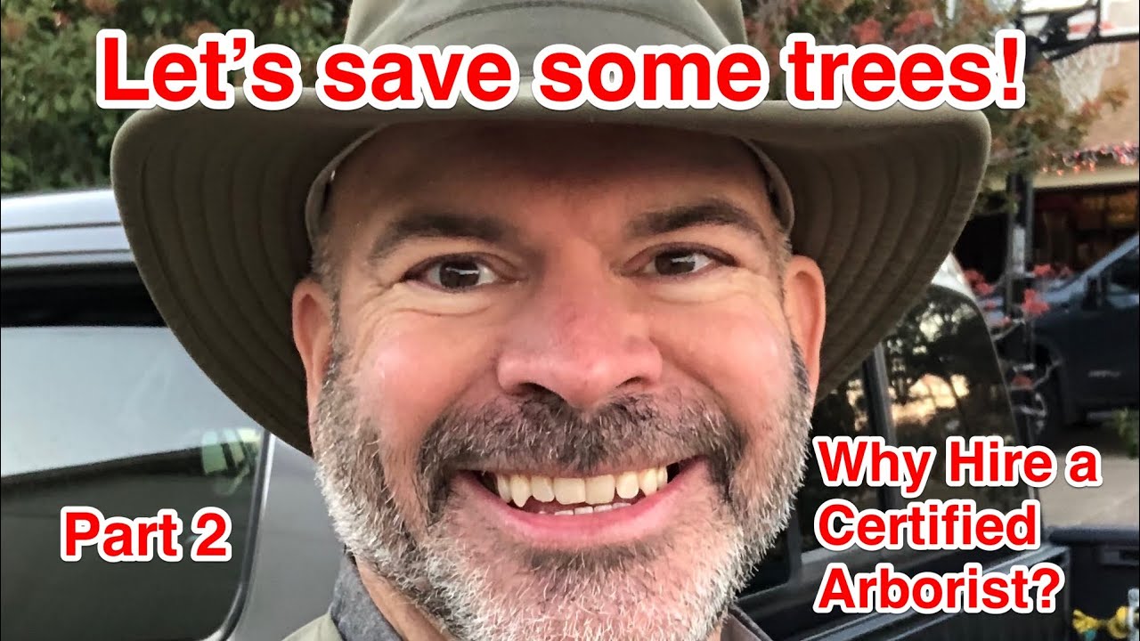 Why hire a Certified Arborist? Part 2 of 2.